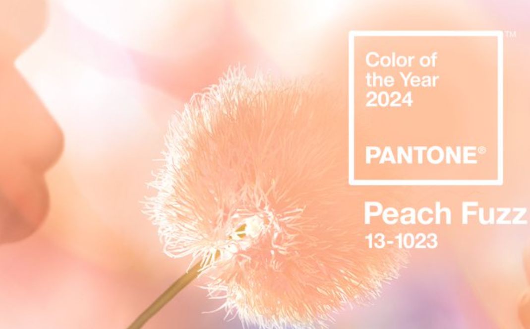 Peach Fuzz, la couleur Pantone de l'année 2024