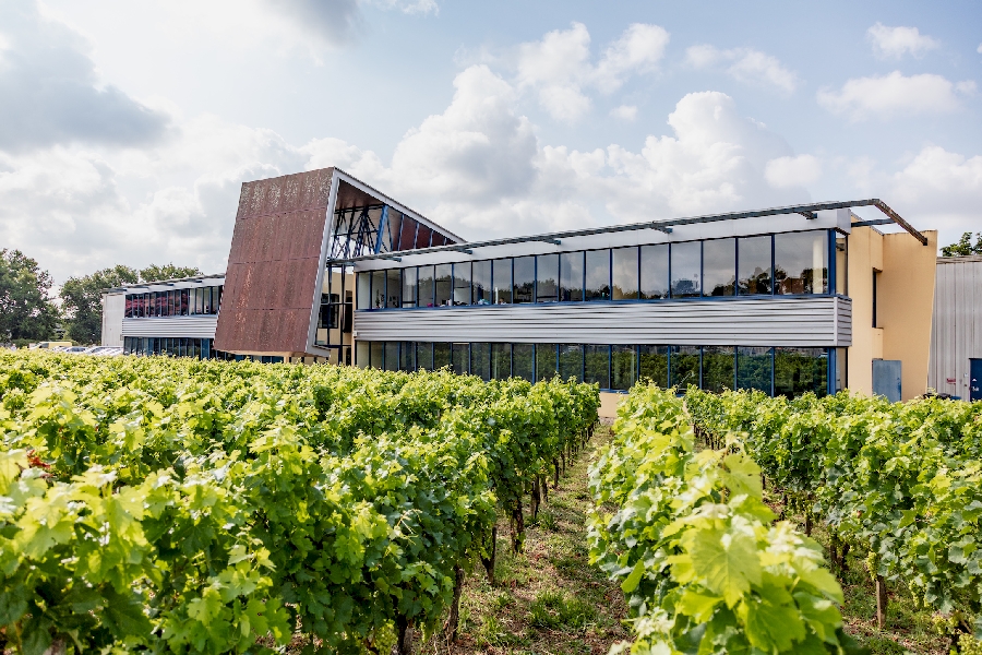 Korus Packaging reçoit le label Entreprise du Patrimoine Vivant